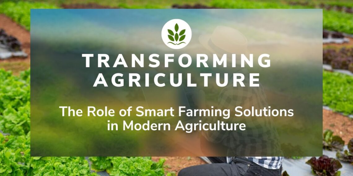 Smart Farming Solutions in Modern Agriculture for 2024